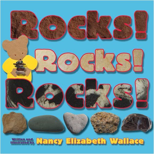 Rocks! Rocks! Rocks! מאת Nancy Elizabeth Wallace | סימניה - ספרים ...