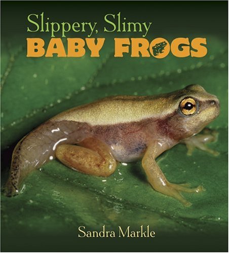 Slippery, Slimy Baby Frogs מאת Sandra Markle | סימניה - ספרים, סופרים ...